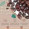 GOGHOST African Natural Cacho Seed Rattle Hand Percussion Gifts ...