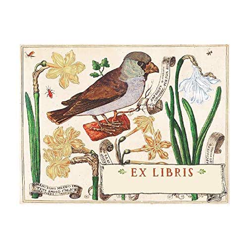 Amazon.com: Bookplates Self Adhesive Stickers Personalized Book Labels ...