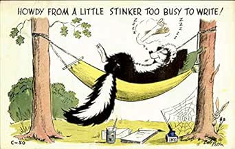 Howdy From A Little Stinker Comic Funny Original Vintage Postcard at ...