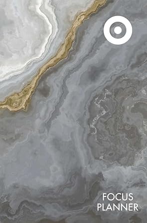 FOCUS PLANNER 2023 - GOLD : Vicedo, José María: Amazon.es: Libros