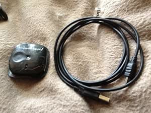 Amazon.com: bodybugg (version 3) Digital Display - Black : Sports ...