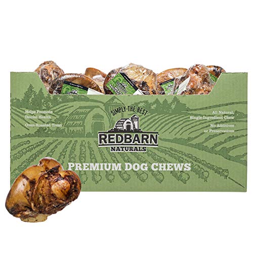 Unlocking the Chewy Goodness: 10 Best Redbarn Knuckle Bones Reviewed ...
