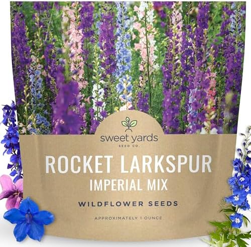 Amazon.com : Dame's Rocket Flower Seeds,1000+ Flower Seeds Per Packet ...