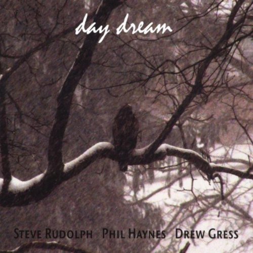 Amazon MusicでSteve Rudolph, Phil Haynes & Drew GressのDay Dreamを再生する