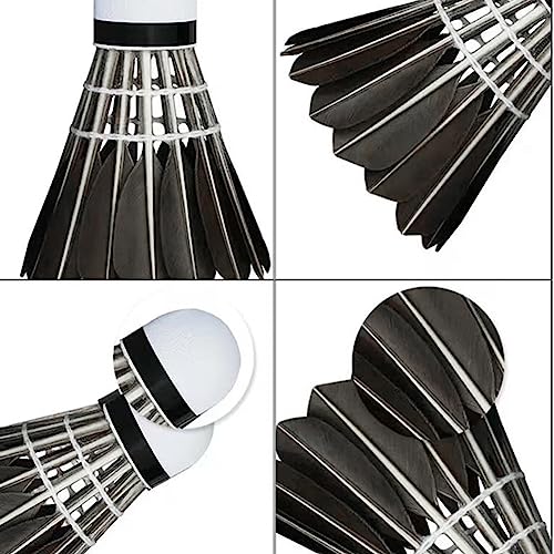 12pcs Badminton Shuttlecocks Badminton Birdie with Storage Tube Duck ...