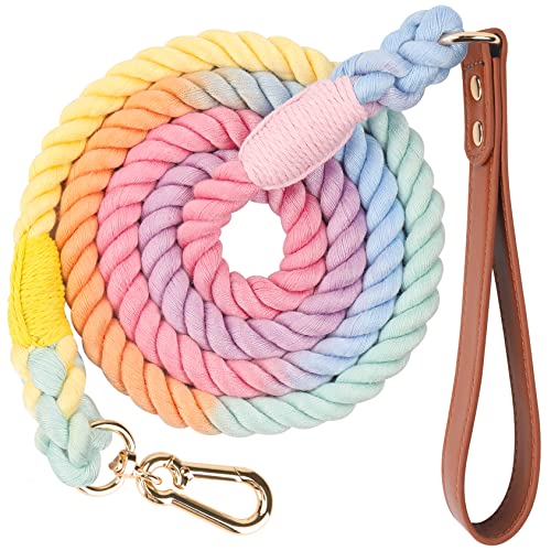 Cute Dog Leash – The 15 best products compared - Wild Explained
