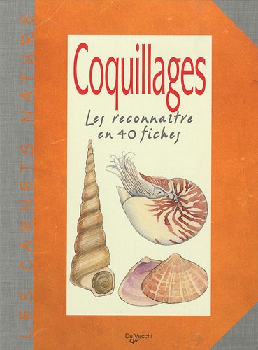 Coquillages (French Edition): Collectif: 9782732895307: Amazon.com: Books