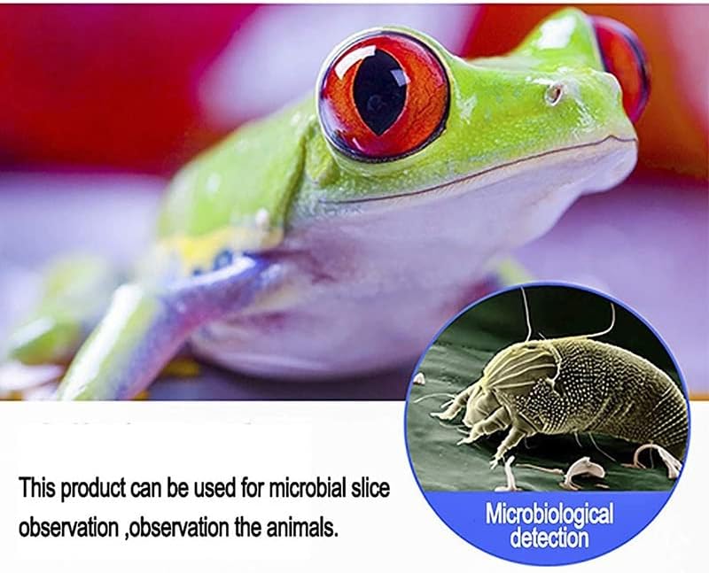 Microscope Accessories Kit Mega Pixels 1000X 8 LED Digital Microscope ...