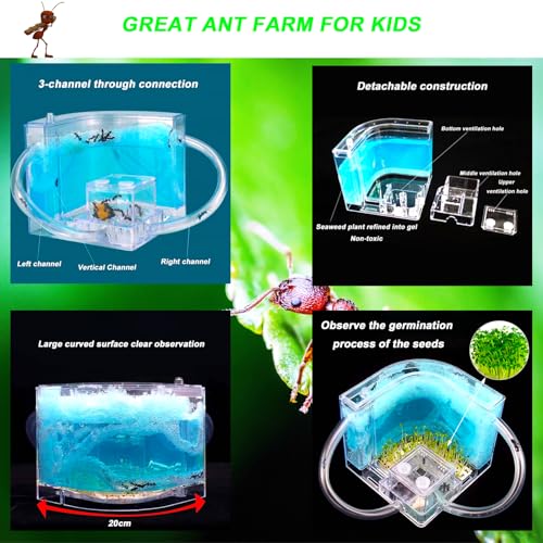 Snapklik.com : EXBEPE Ant Farm For Kids Gel Ant Castle Colony Ecosystem ...