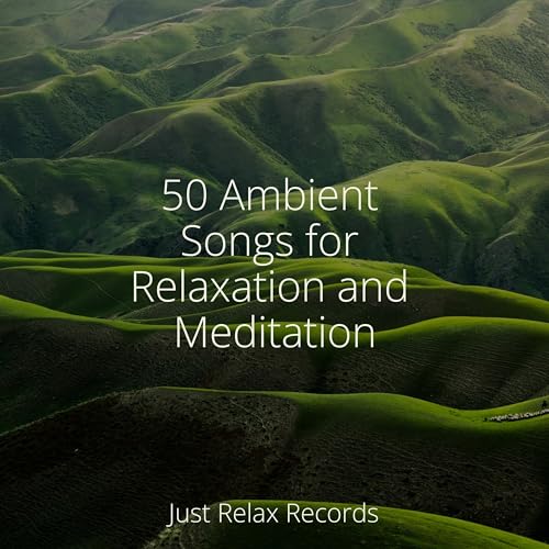 Amazon Music - Chinese Relaxation and Meditationの50 Ambient Songs for ...