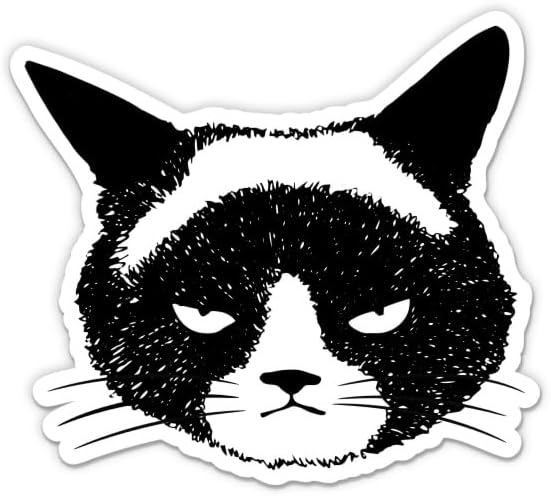 Amazon.com: Grumpy Kitty Sticker - 3" Laptop Sticker - Waterproof Vinyl ...