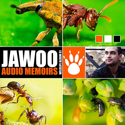 Play Audio Memoirs by Jawoo on Amazon Music