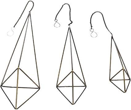 Amazon.com: Ecosides Set of 3 Bronze Hanging Air Plant Holder ...