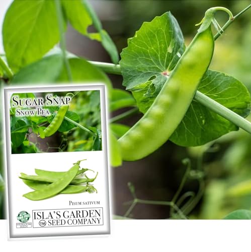 Snap pea - How to grow & care