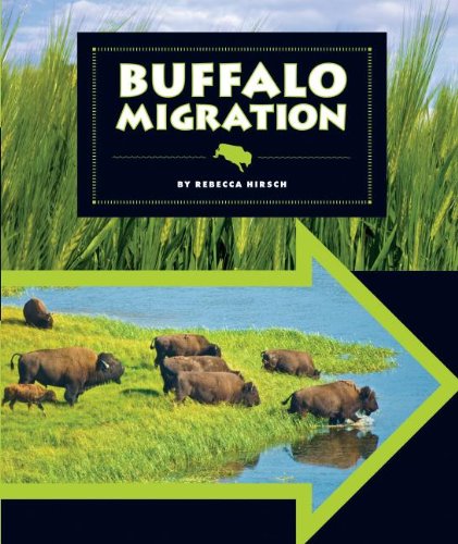 Buffalo Migration (Animal Migrations): Hirsch, Rebecca: 9781609736170 ...