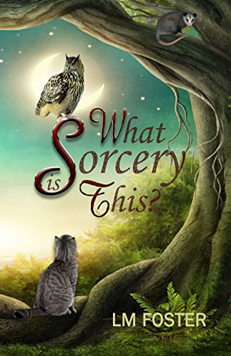 What Sorcery is This? eBook : Foster, LM: Amazon.in: Kindle Store