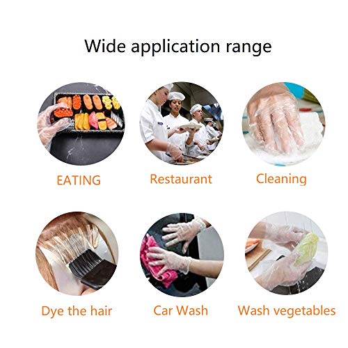 MoloTAR 500 Pieces Plastic Disposable Gloves,Disposable Gloves for ...