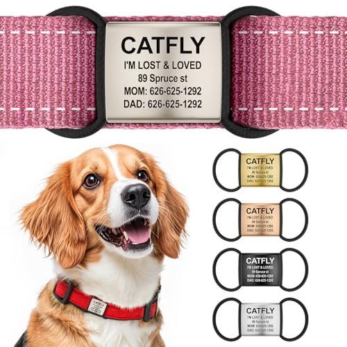 Amazon Best Sellers: Best Dog ID Tags