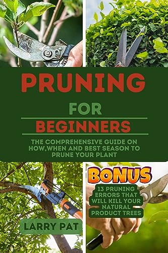 PRUNING FOR BEGINNERS : The comprehensive guide on how,when and best ...