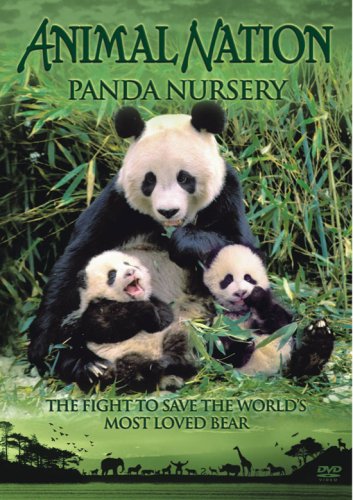 Animal Nation - Panda Nursery [Reino Unido] [DVD]: Amazon.es: Películas ...