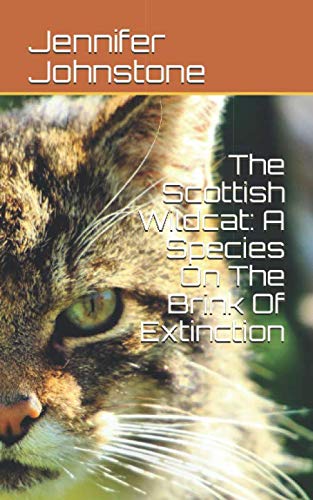 The Scottish Wildcat: A Species On The Brink Of Extinction: Amazon.co ...