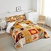 Amazon.com: Homewish Fall Pumpkin Grid Bedding Set Rustic Farmhouse ...