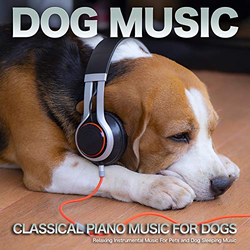 Écouter Dog Music: Classical Piano Music For Dogs, Relaxing ...