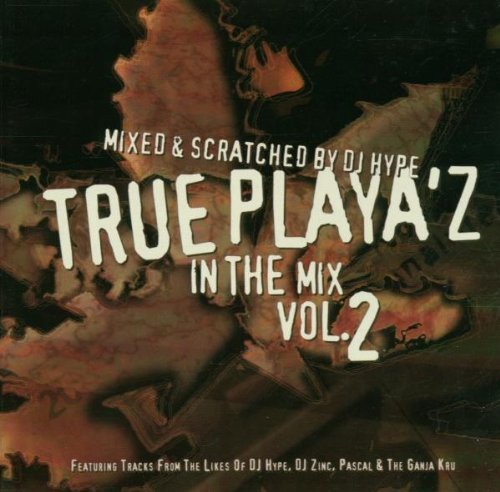 True Playaz in the Mix Vol.2: Amazon.de: Musik-CDs & Vinyl