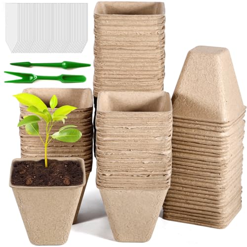 Macetas biodegradables: la opción eco-friendly para tus plantas y el ...