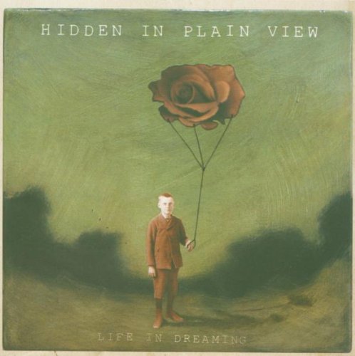HIDDEN IN PLAIN VIEW - Life In Dreaming - Amazon.com Music