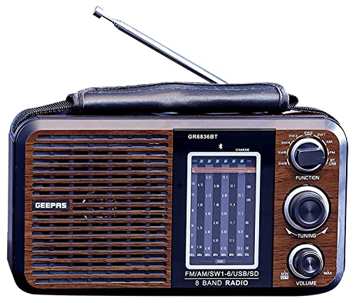 amazon.ae Best Sellers: The best items in Novelty Radios based on ...