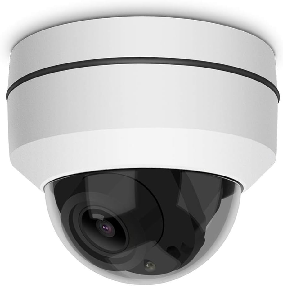 Amazon.com : LEFTEK Analog PTZ Camera Outdoor Mini RS485 HD 1080P 4X ...