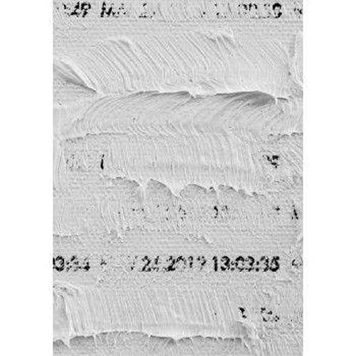 Major Reference Works: Spring/Summer 2021 : Rouze, Manon: Amazon.in: Books