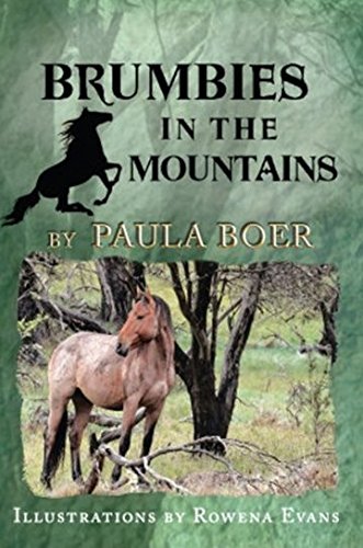 Brumbies in the Mountains: Boer, Paula, Evans, Rowena: 9781925148596 ...