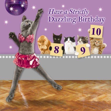 Dancing Queen Cat Birthday Card : Amazon.co.uk: Stationery & Office ...