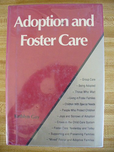Amazon.com: Adoption and Foster Care (Issues in Focus): 9780894902390 ...