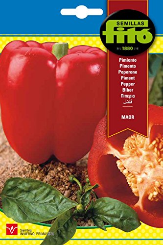 Pimento Morrone Continente - FICA