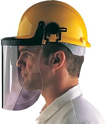 Centurion S590 Polycarbonate Clear Face Screen 225 mm 9 Inch : Amazon ...