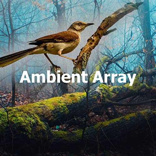 Play Ambient Array by Rettenmaier on Amazon Music