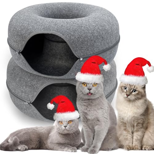 Cat Donut – The 15 best products compared - Wild Explained