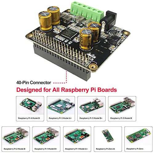 Snapklik.com : RPI Audio Amplifier 2x80W Peak Output Class D HiFi AMP ...