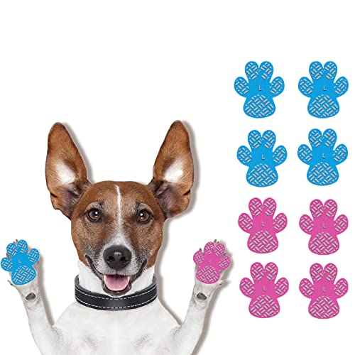 Paw Grips for Dogs – The 15 best products compared - Wild Explained