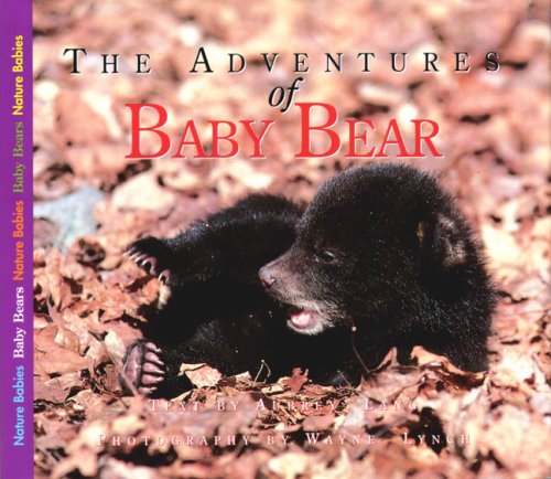 The Adventures of Baby Bear (Nature Babies): Lang, Aubrey, Lynch, Wayne ...