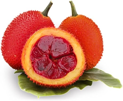 Amazon.com : Gac Momordica Cochinchinensis Gak Fruit Rare (LSL) Exotic ...