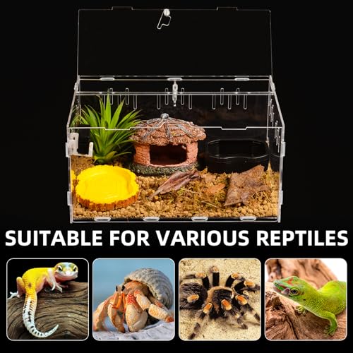 Snapklik.com : Acrylic Reptile Tank, 118x79x59 Durable Reptile ...