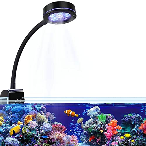 33+ Best Led Lighting for Reef Tank (2021 Top picks & reviews)