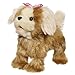Amazon.com: FurReal Friends Walking Puppies Mini Morkie Pet Plush ...