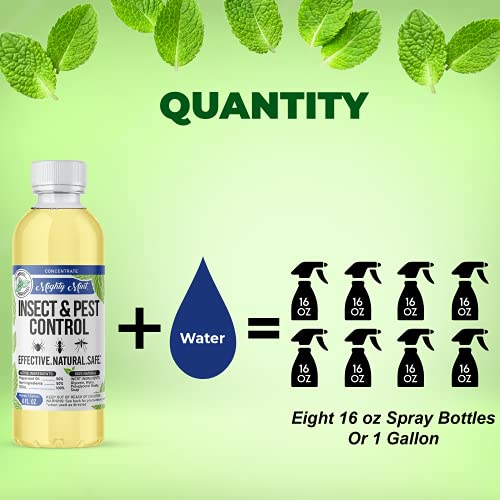 Mighty Mint Peppermint Oil Insect Repellent Concentrate– Natural Indoor ...