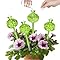 Amazon.com: HYH Plant Watering Globes 4 Pack Self Watering Planter Spikes Insert for Indoor ...