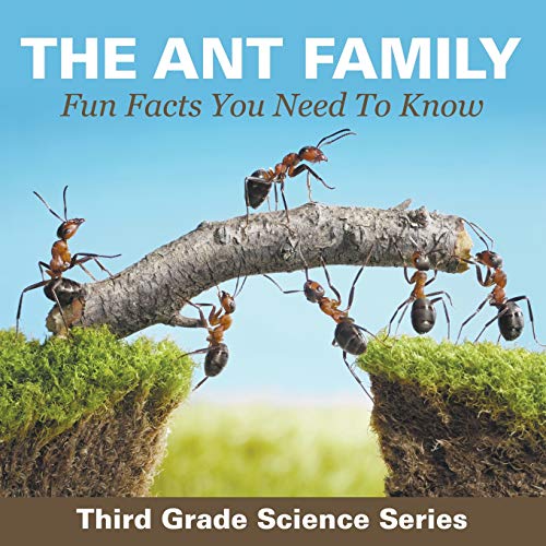 15 Amazing Picture Books About Ants for Preschoolers